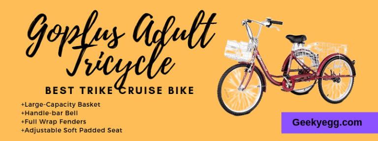 Top 12 Best Tricycle Bikes For Adults 2020 - Buyer's Guide