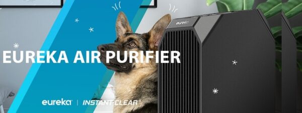 Top 10 Best Air Purifiers for Allergies 2022 - Reviews & Buyer's Guide